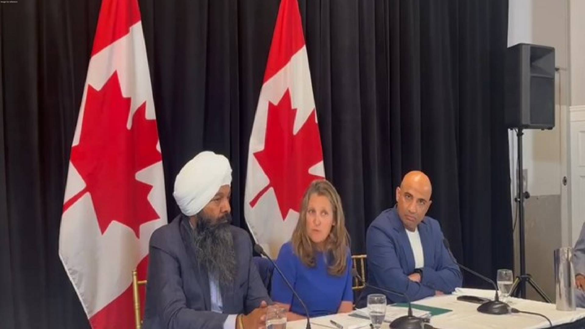 Canadian Deputy PM stumbles over question on Canada Parliament tribute ...